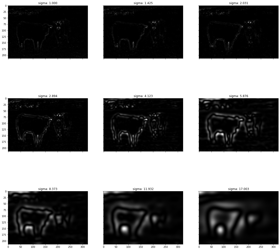 Convolution Of A Laplacian Of A Gaussian Blob Detector Michele Morisco 0854